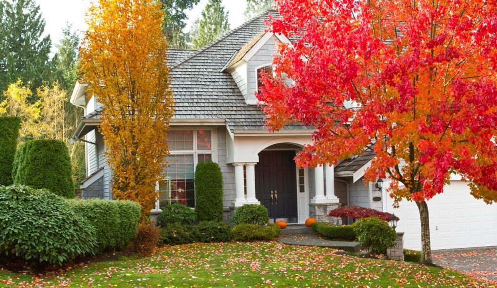 4 Ways to Transition Your Lawn to Fall | TMK Home Inspections